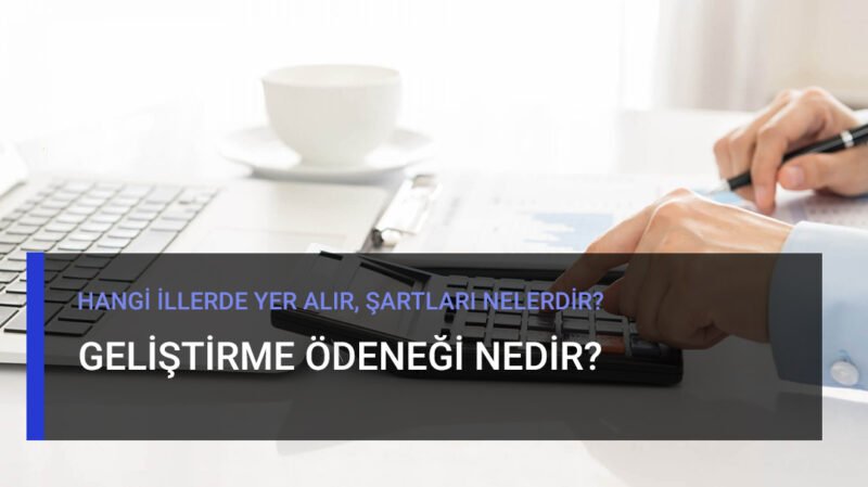 A1 İngilizce Konuları: Temel İngilizce ve Gramer Bilgisi Öğrenin!