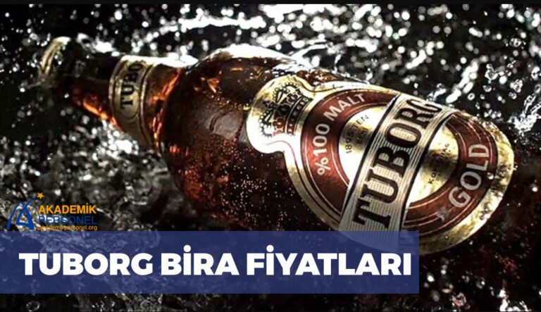 Bira Fiyatları 2024: (ZAMLI) Efes, Tuborg, Carlsberg Fiyatı