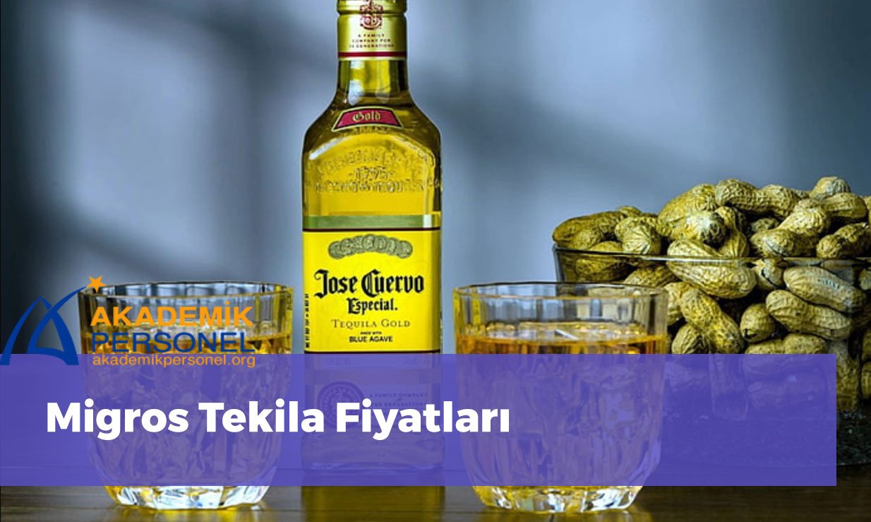 Tekila Fiyatları 2024: GÜNCEL! Olmeca, Sierra, Pueblo Fiyatı