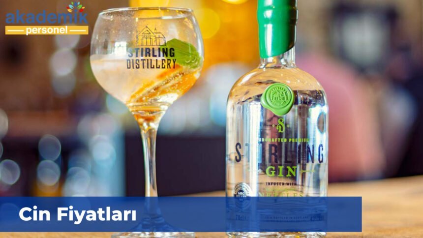 Cin Fiyatları 2024: (Güncel Zamlı) Gin Fiyatı Ne Kadar?