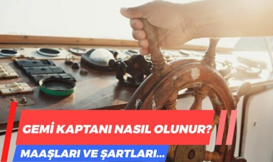 Akademisyen Nasıl Olunur? 2023 Akademisyen Olma Şartları!