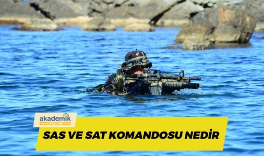 Gemi Kaptanı Nasıl Olunur? Hangi Bölüm Okunmalı? İşte Yanıtı...